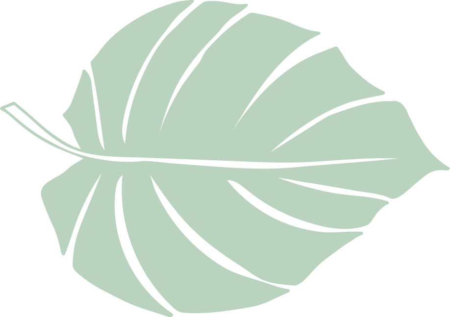 Culturally-inclusive, Nature-Based Programs | Unearthing Joy Culturally-inclusive, Nature-Based Programs | Unearthing Joy